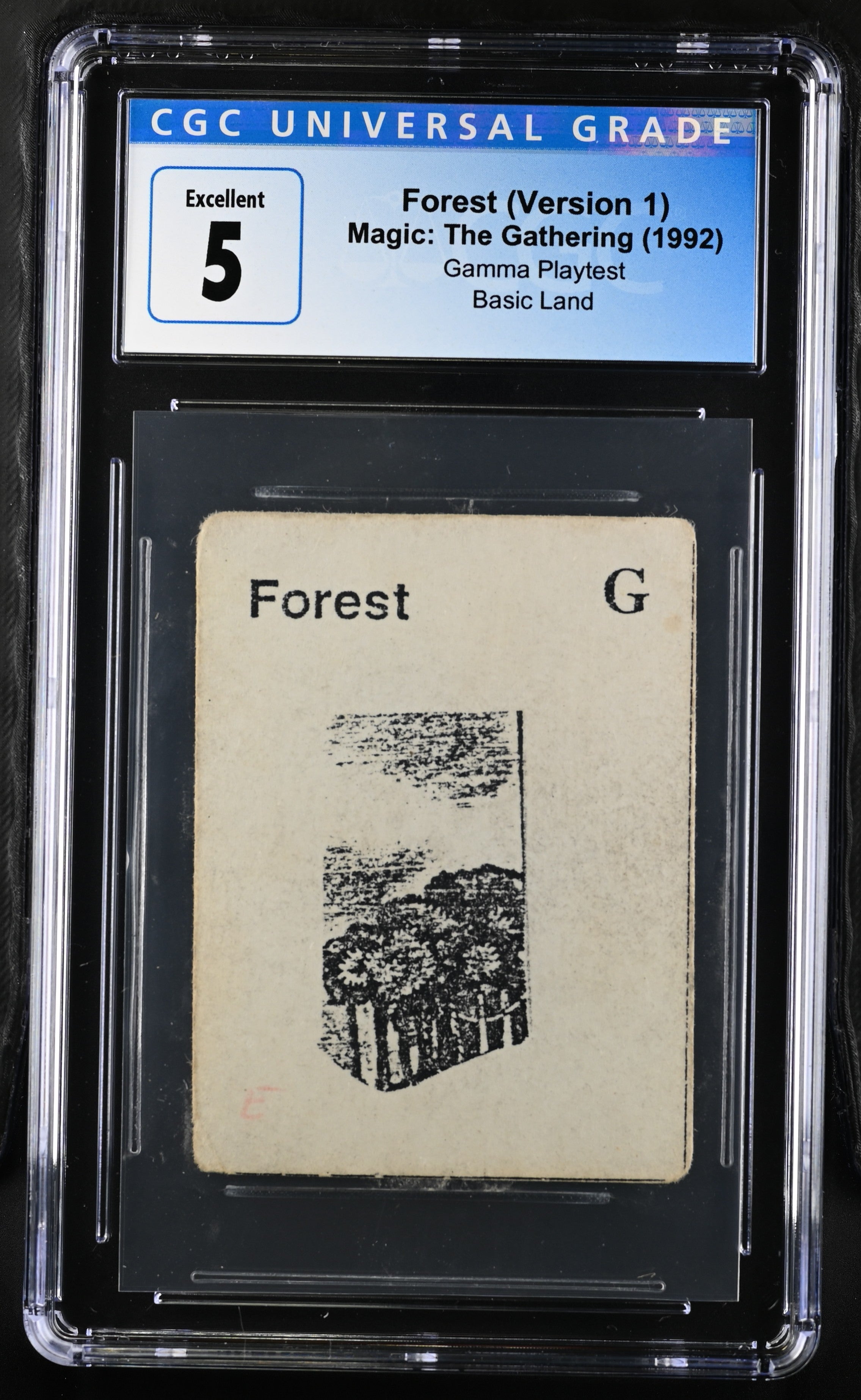 Forest v.1 - Playtest Gamma